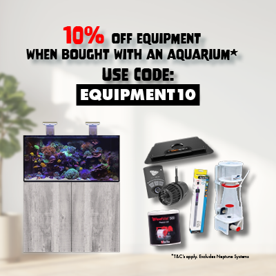 Largest selection of mail order & Collection coral frags in the UK ...