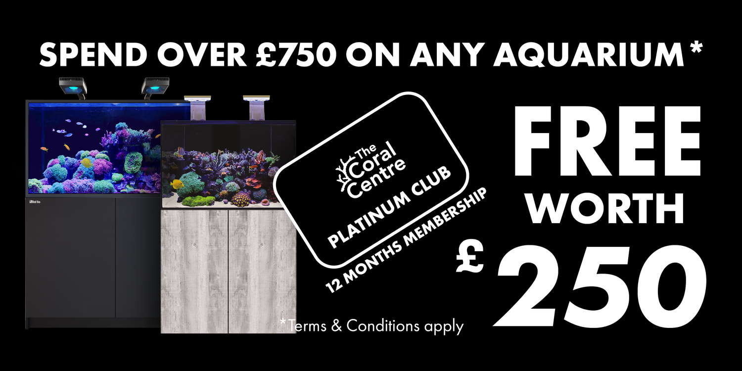Largest selection of mail order & Collection coral frags in the UK ...