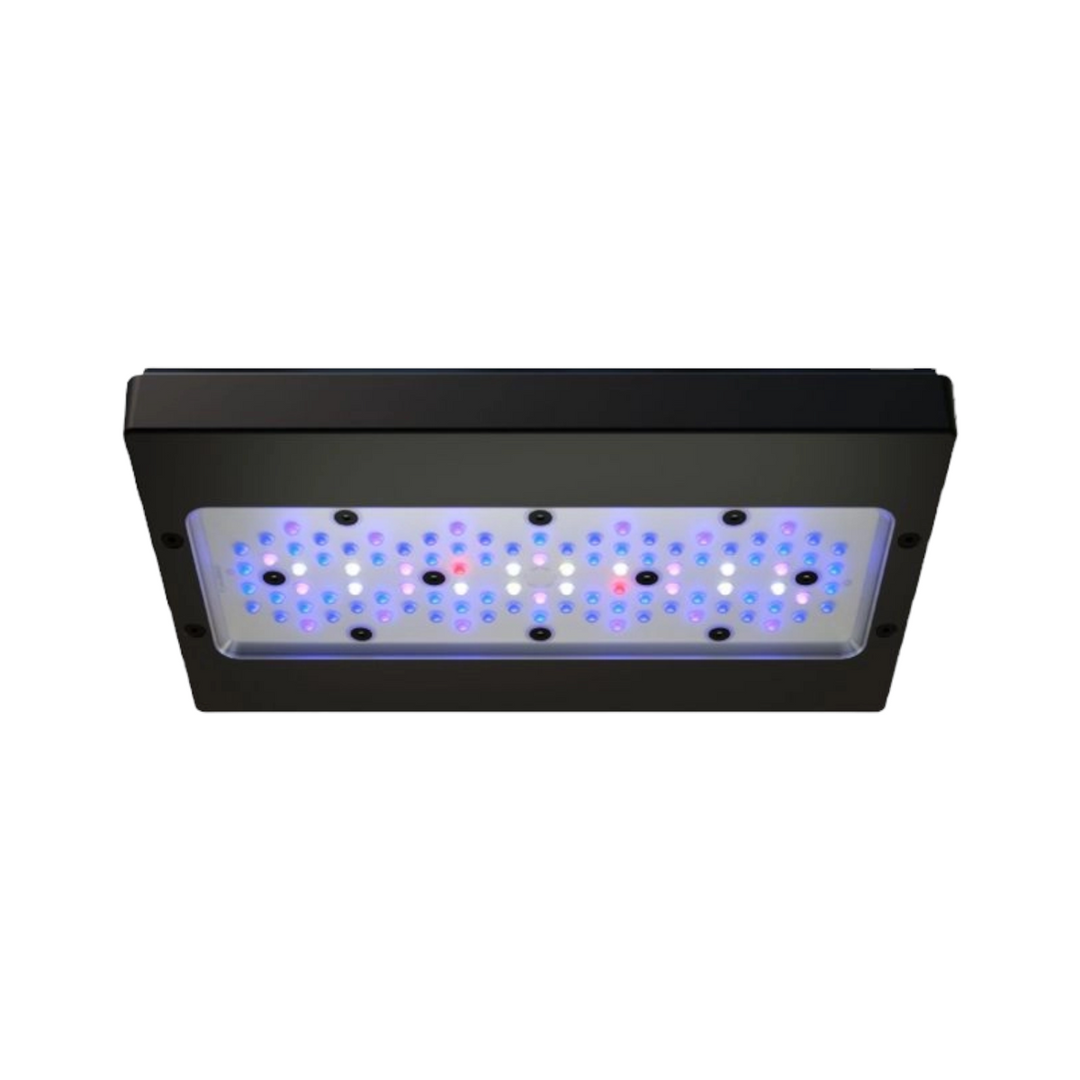 Ecotech Radion G6 XR30 Blue And RMS Tank Mount System – thecoralcentre